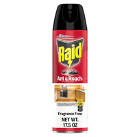 Raid Ant & Roach – Ginger Fresh